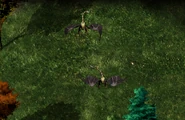 Cloakwood Wyverns | Baldur's Gate Wiki | Fandom