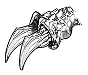 Basilisk Claw | Baldur's Gate Wiki | Fandom