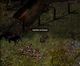 Karthis al-Hezzar | Baldur's Gate Wiki | Fandom