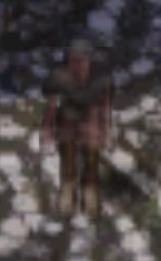 Wellyn | Baldur's Gate Wiki | Fandom