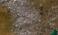 Coast Way | Baldur's Gate Wiki | Fandom