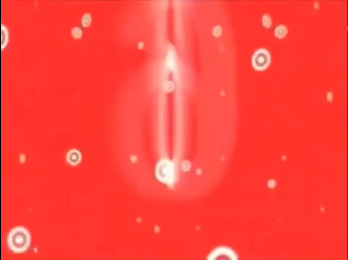 Discover Card/Target 2007 Countdown | New Year's Media Database | Fandom