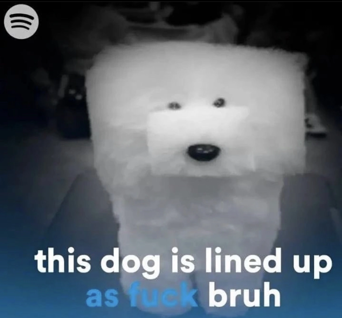 Sbeve | Ballcatvivor Wiki | Fandom