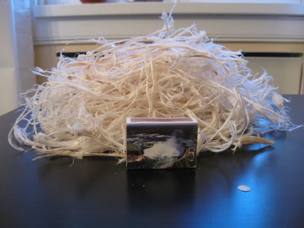 Case study: making sinew rope from red deer tendons | Greek and Roman ...