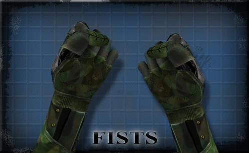 Fists | Ballistic Weapons Wiki | Fandom