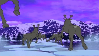 Totem animals | Balto Wiki | Fandom