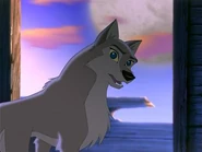 Aleu/Gallery | Balto Wiki | Fandom