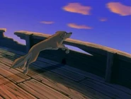 Aleu/Gallery | Balto Wiki | Fandom
