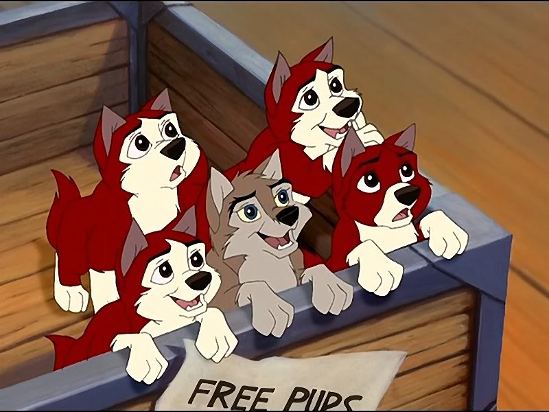 Noms Des Personnages De Balto