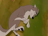 Aleu/Gallery | Balto Wiki | Fandom