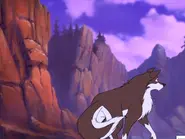 Red and white wolf | Balto Wiki | Fandom