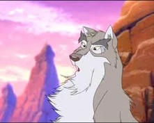 Nava | Wiki Balto | Fandom