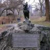 Unnamed Husky (Balto's Father) | Balto Wiki | Fandom