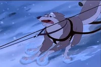 Dusty/Gallery | Balto Wiki | Fandom
