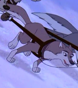 Balto Dusty