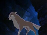 Aleu/Gallery | Balto Wiki | Fandom