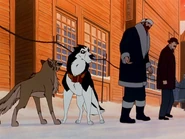 Steele's Musher | Balto-trilogy Wiki | Fandom