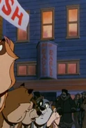 Eagle Shop | Balto-trilogy Wiki | Fandom