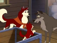 Saba | Balto-trilogy Wiki | Fandom