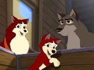 Saba | Balto-trilogy Wiki | Fandom