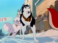 Dixie | Balto-trilogy Wiki | Fandom