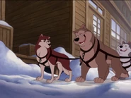 Kodi | Balto-trilogy Wiki | Fandom