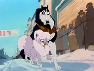 Dixie | Balto-trilogy Wiki | Fandom