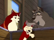Saba | Balto-trilogy Wiki | Fandom
