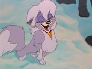 Dixie | Balto-trilogy Wiki | Fandom