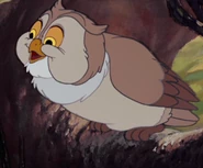 Friend Owl | Bambi Wiki | Fandom
