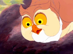 Bambi Owl Gif