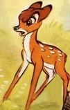 Boso | Bambi Wiki | Fandom