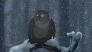 Friend Owl | Bambi Wiki | Fandom
