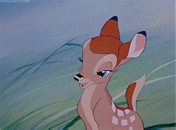 Bambi 2 Faline