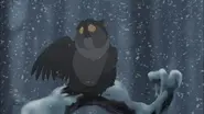 Friend Owl | Bambi Wiki | Fandom