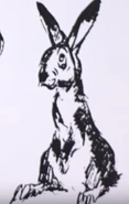Papa Bunny | Bambi Wiki | Fandom