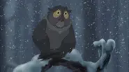 Friend Owl | Bambi Wiki | Fandom