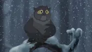 Friend Owl | Bambi Wiki | Fandom
