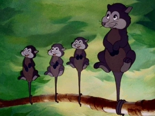 Possums | Bambi Wiki | Fandom
