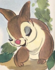 Thumper's sisters | Bambi Wiki | Fandom
