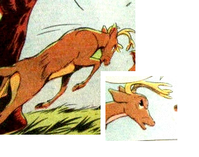 Boso | Bambi Wiki | Fandom