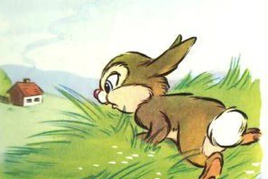 Thumper The Rabbit Quotes