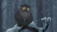 Friend Owl | Bambi Wiki | Fandom