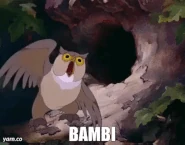 Friend Owl | Bambi Wiki | Fandom