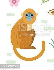 Nimbletail | Bamboo Kingdom Wiki | Fandom