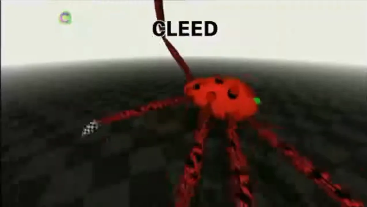 Cleed | Bamzooki Wiki | Fandom