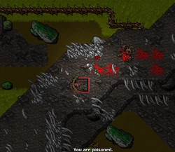 Wyvern Lair | Wiki Bananal Server | Fandom