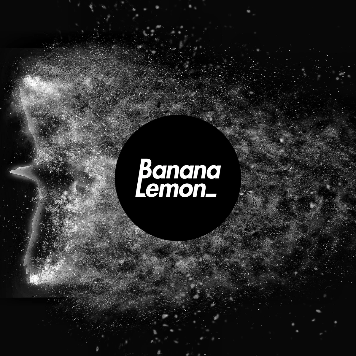 Phoenix | Bananalemon Wiki | Fandom