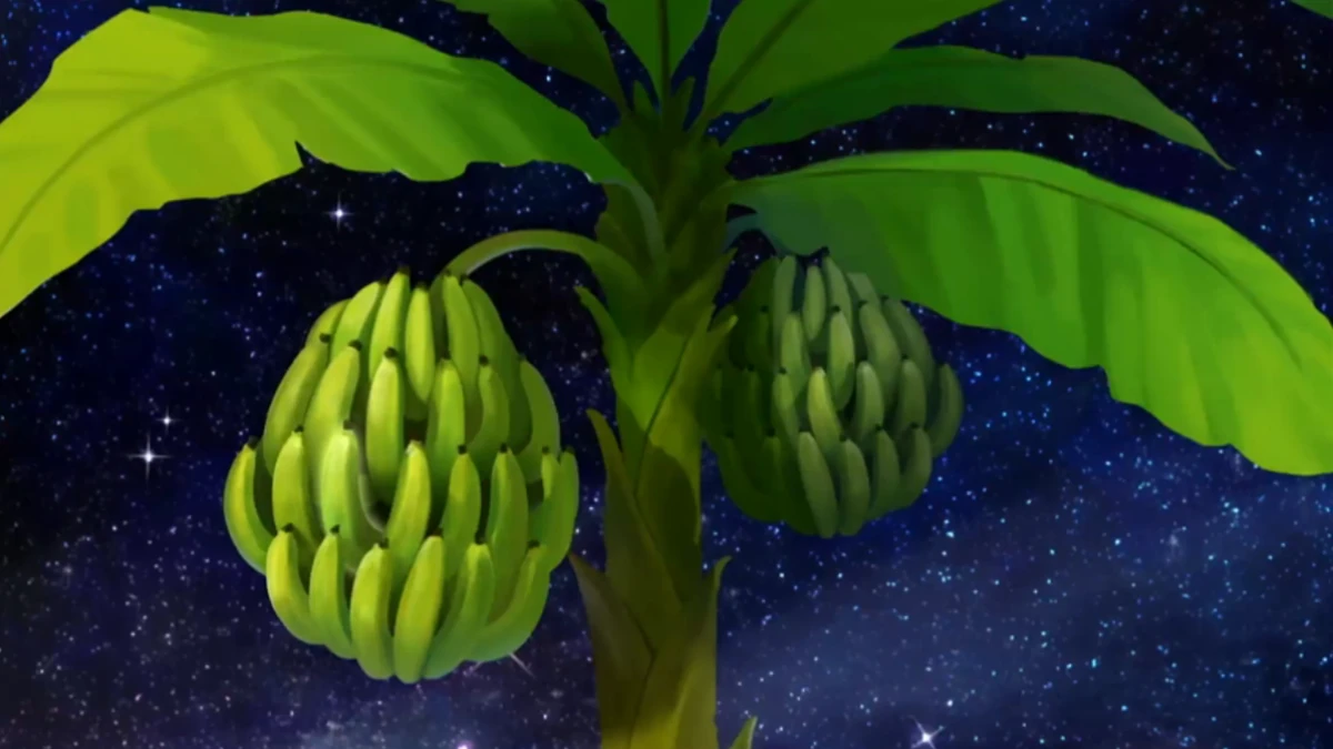 Episode 1 - "The kitty who lives in a Banana" | Bananya Wikia | Fandom