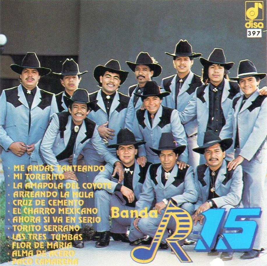 Anexo:Discografia de Banda R-15 | Wikibanda | Fandom